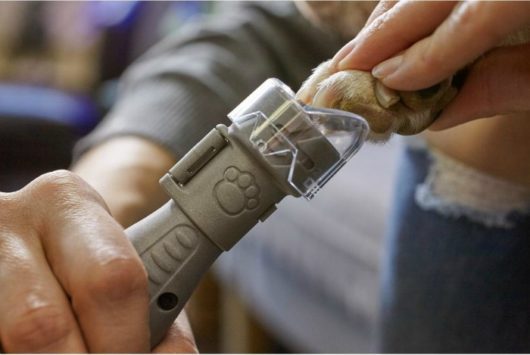 Dremel Pet Grooming Kit - Jaime Costiglio