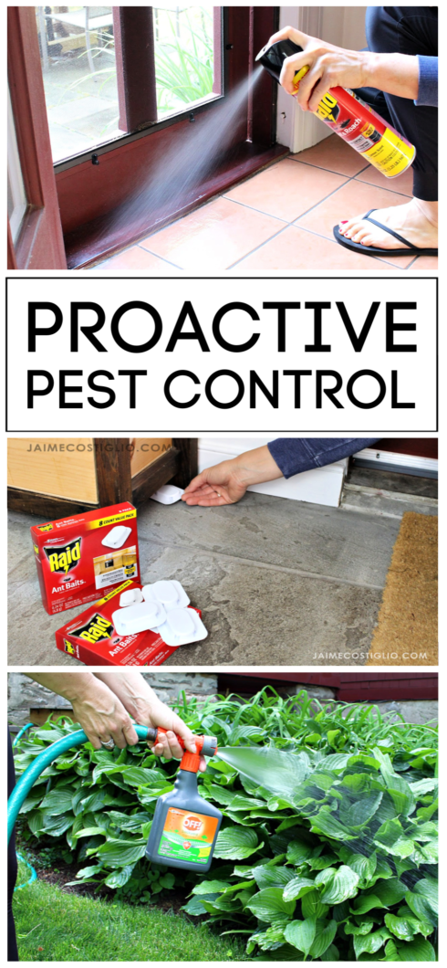 Proactive Pest Control - Keeping Bugs Away - Jaime Costiglio