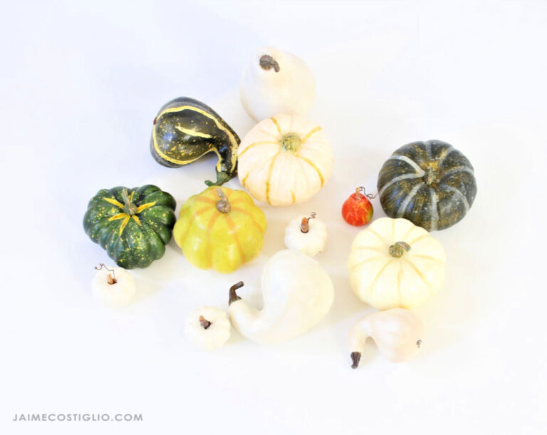 DIY Metallic Painted Gourds - Jaime Costiglio
