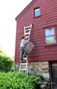 Multi-Position Pro Ladder - Jaime Costiglio