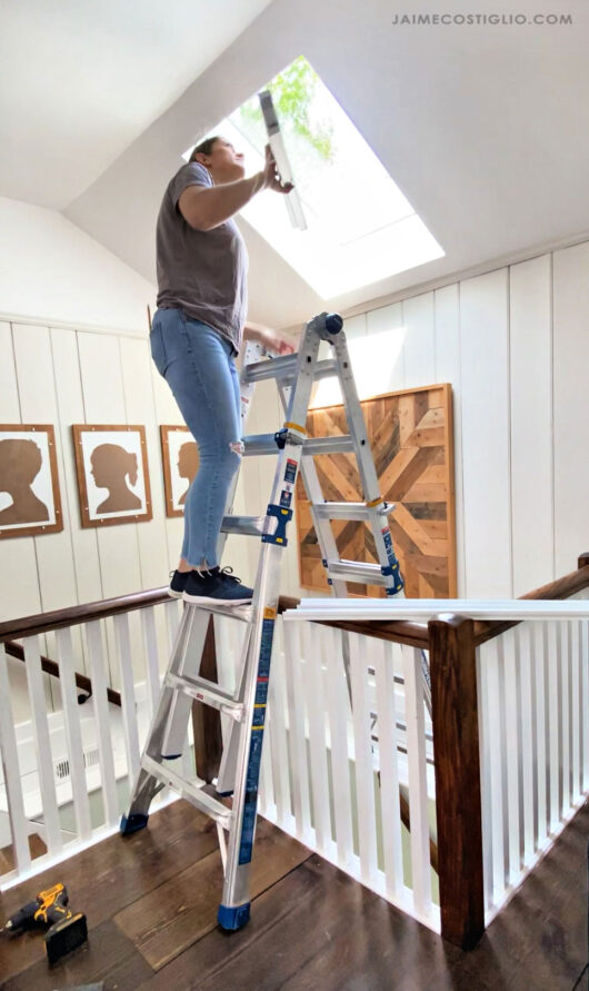 Multi-Position Pro Ladder - Jaime Costiglio