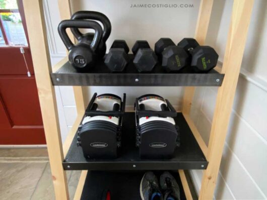 DIY Weight Storage Shelf with Plans - Jaime Costiglio