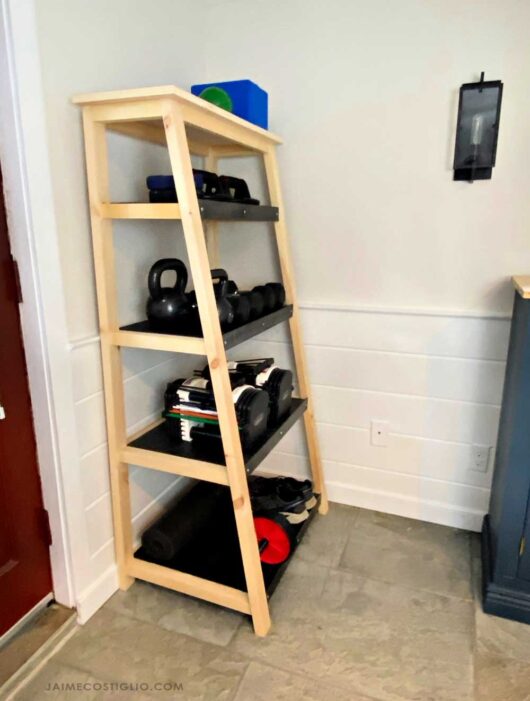 DIY Weight Storage Shelf with Plans - Jaime Costiglio