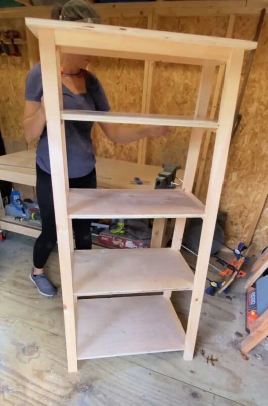 DIY Weight Storage Shelf with Plans - Jaime Costiglio