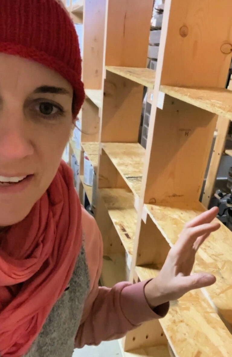 Stud Storage Shelves: A Wall with Built In Storage - Jaime Costiglio